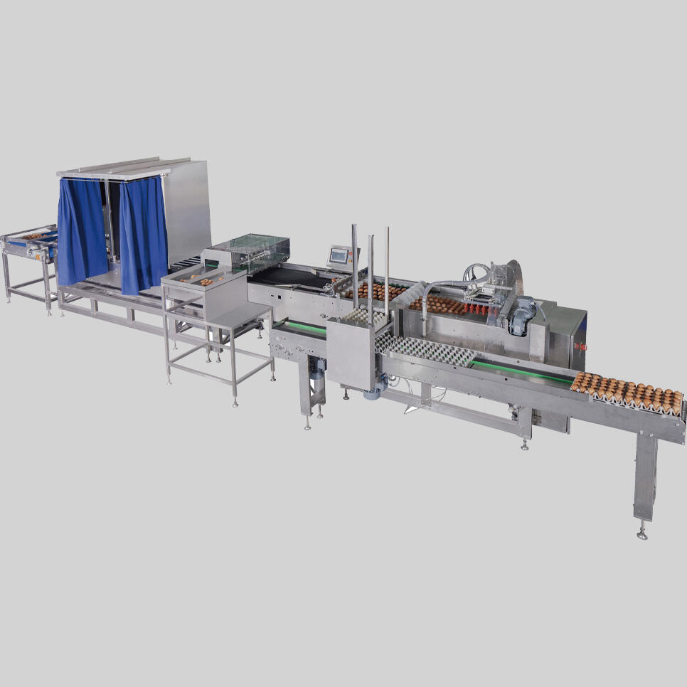 Egg grading & automatic loading system | Equipment Before Incubation ...